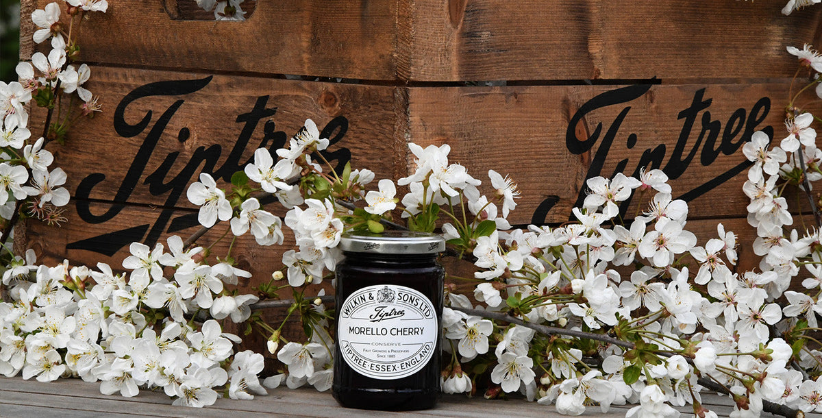 Spring Time – Tiptree