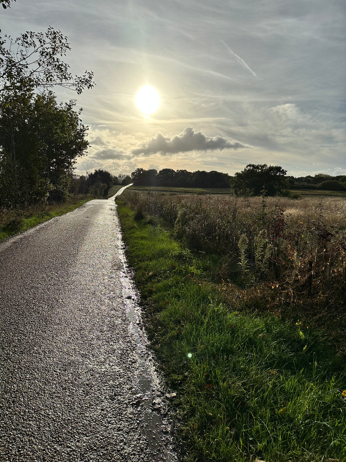 Quality Conserves, Marmalades, Spreads and More | Tiptree