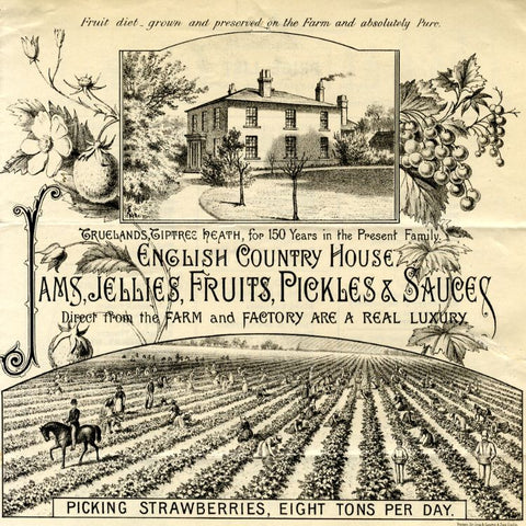 140 years of Jam Making – Tiptree
