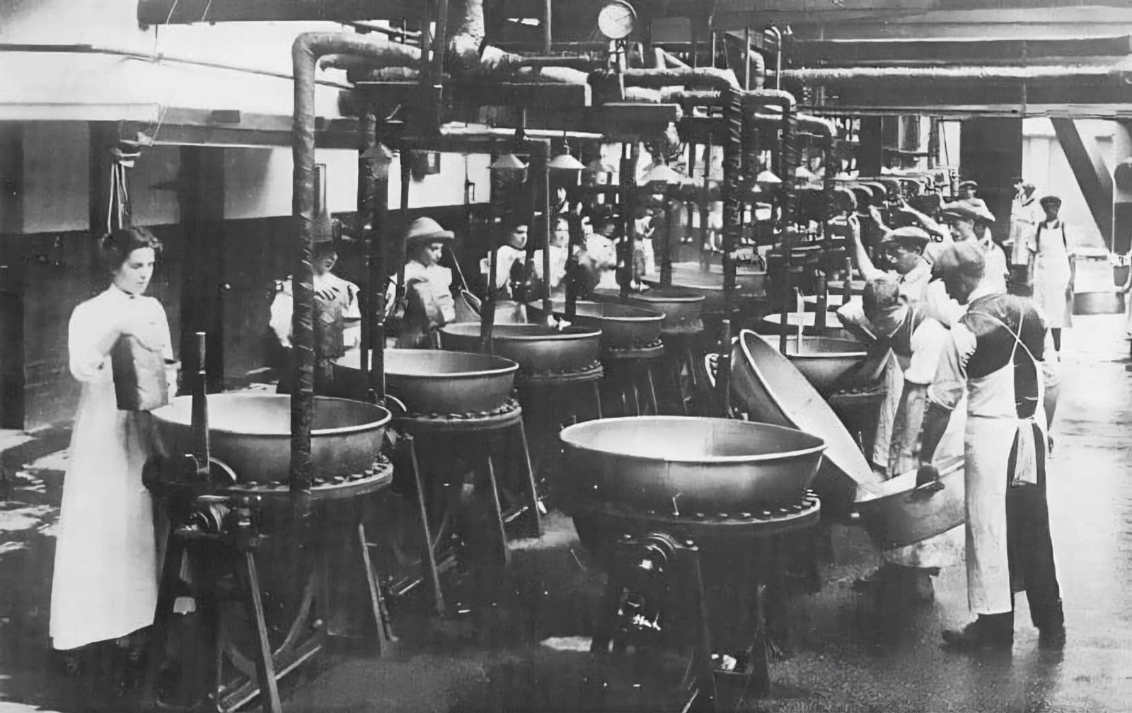 About Tiptree – Quality preserves and spreads there since 1885.